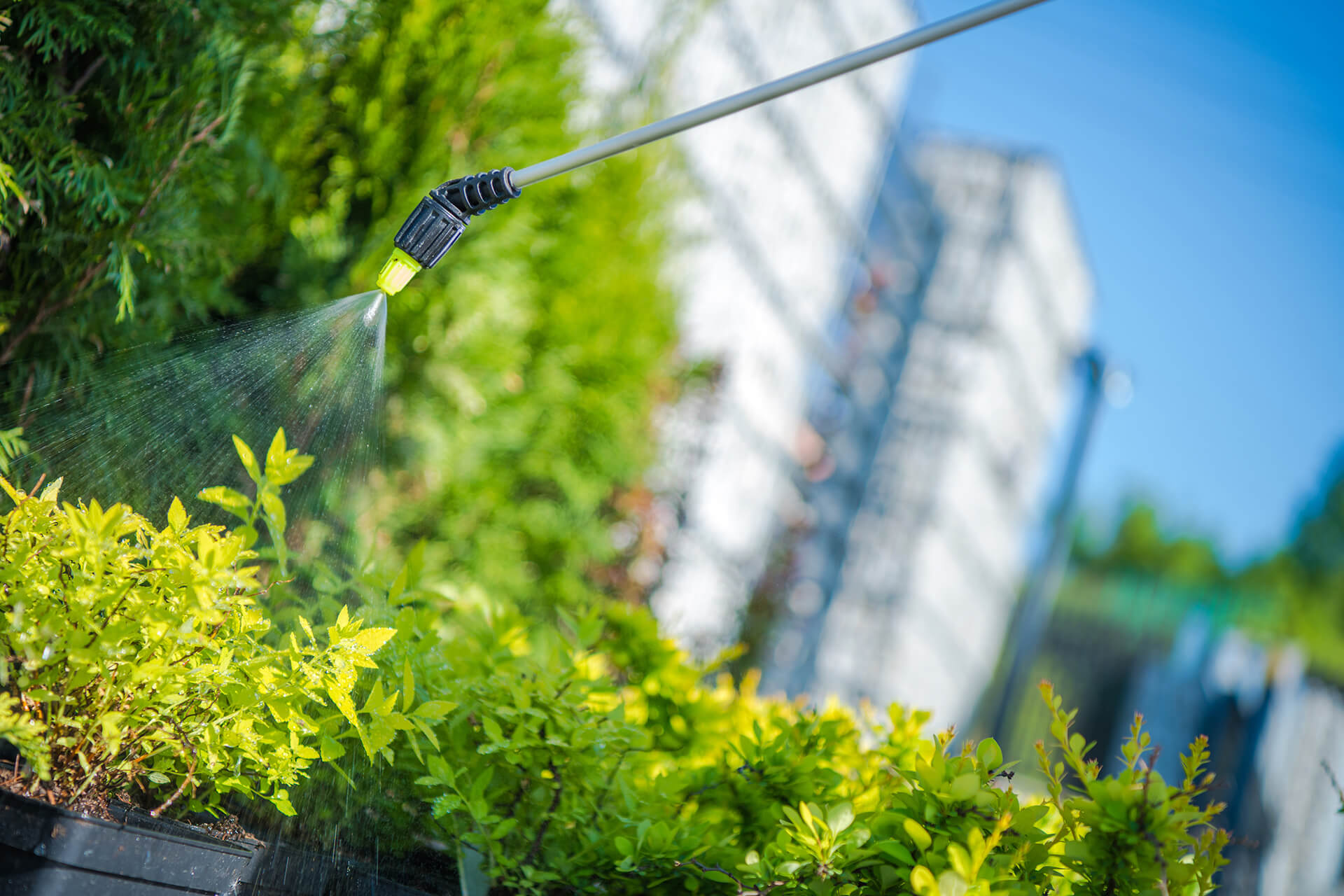 Paraquat Lawsuits | Law Firm | Langston & Lott, PLLC