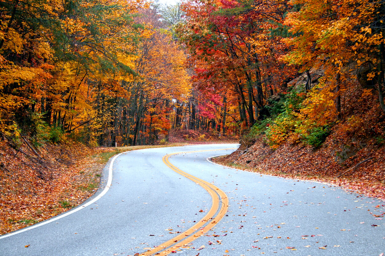5 Unique Characteristics of Rural Road Car Accidents | Langston & Lott ...